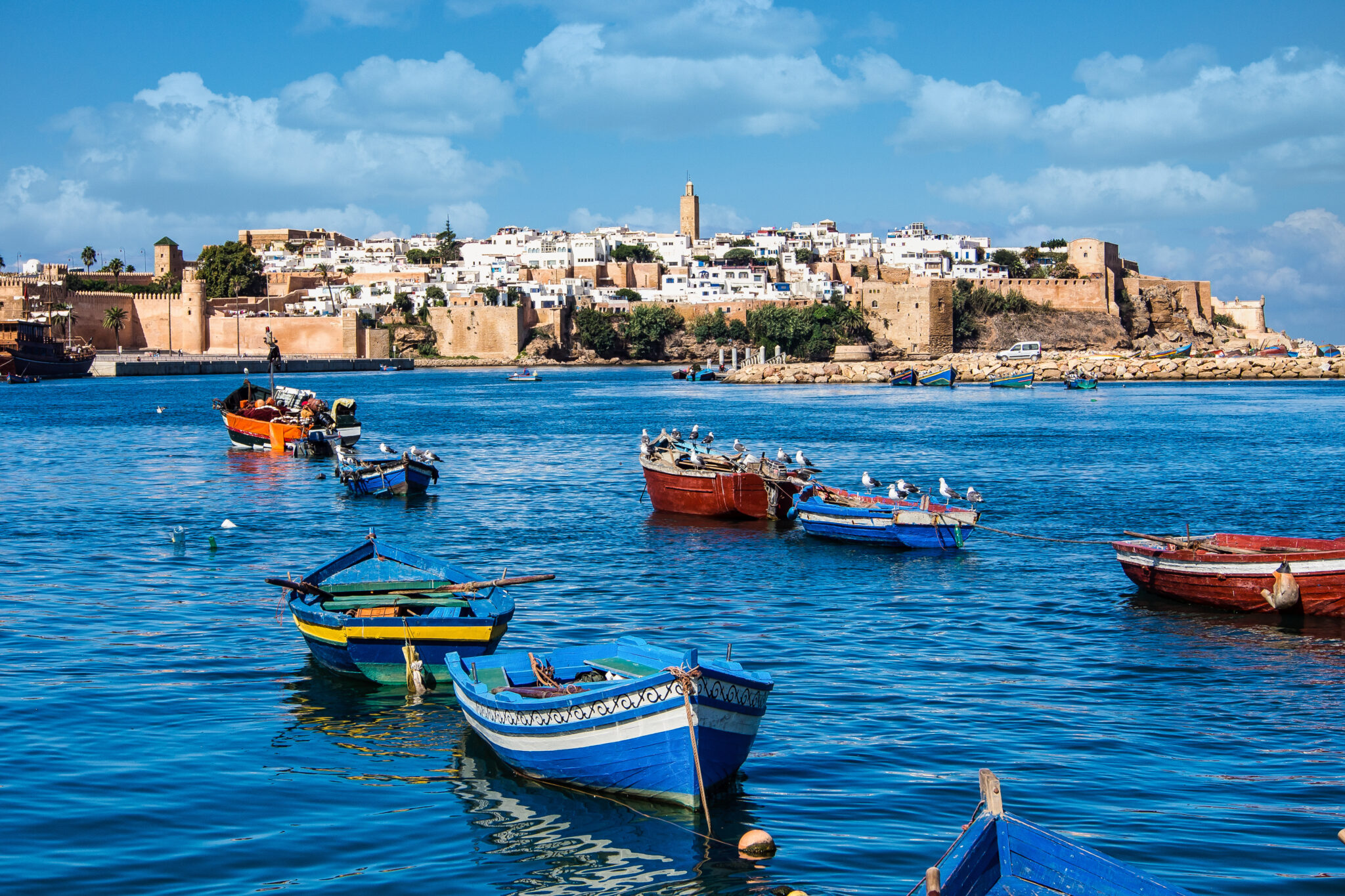 Morocco, Egypt break tourism records as Africa’s top destinations ...