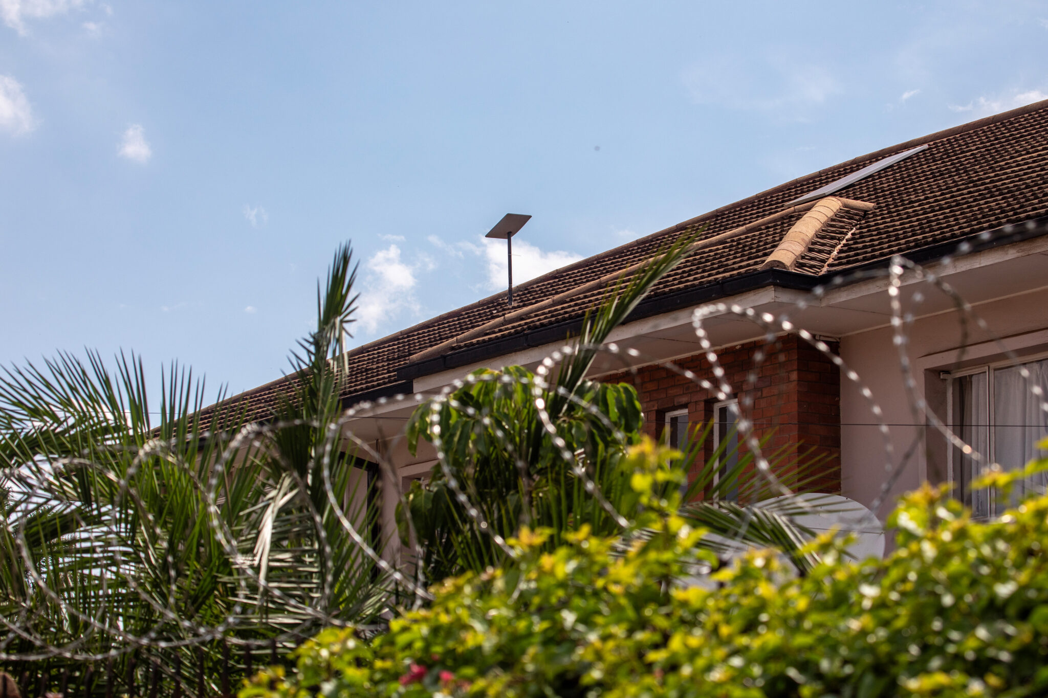 Watchdog probes illegal use of Starlink service in South Africa - Moneyweb