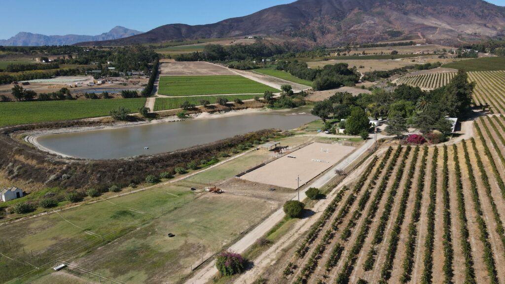 Under the hammer: Three Western Cape wine farms - Moneyweb