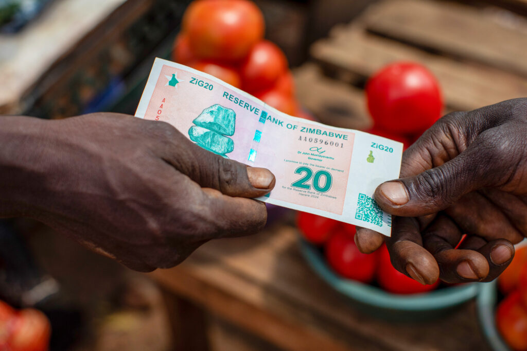 IMF wants Zimbabwe’s gold-backed ZiG to become sole currency - Moneyweb
