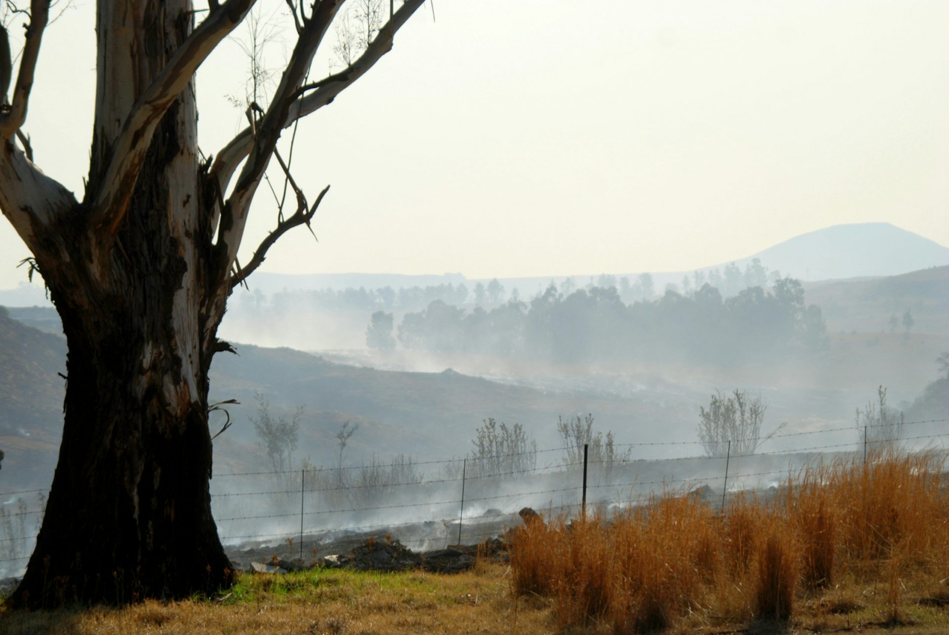 Berg winds in SA: The winter weather pattern that increases wildfire ...