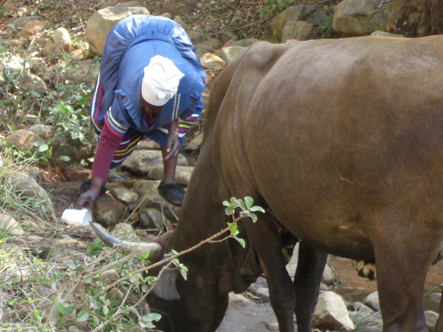 R1bn Limpopo water scheme stalled, leaving villagers in the lurch ...