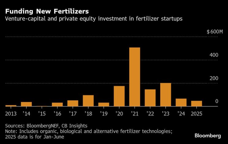This startup turns almond shell waste into organic fertiliser - Moneyweb
