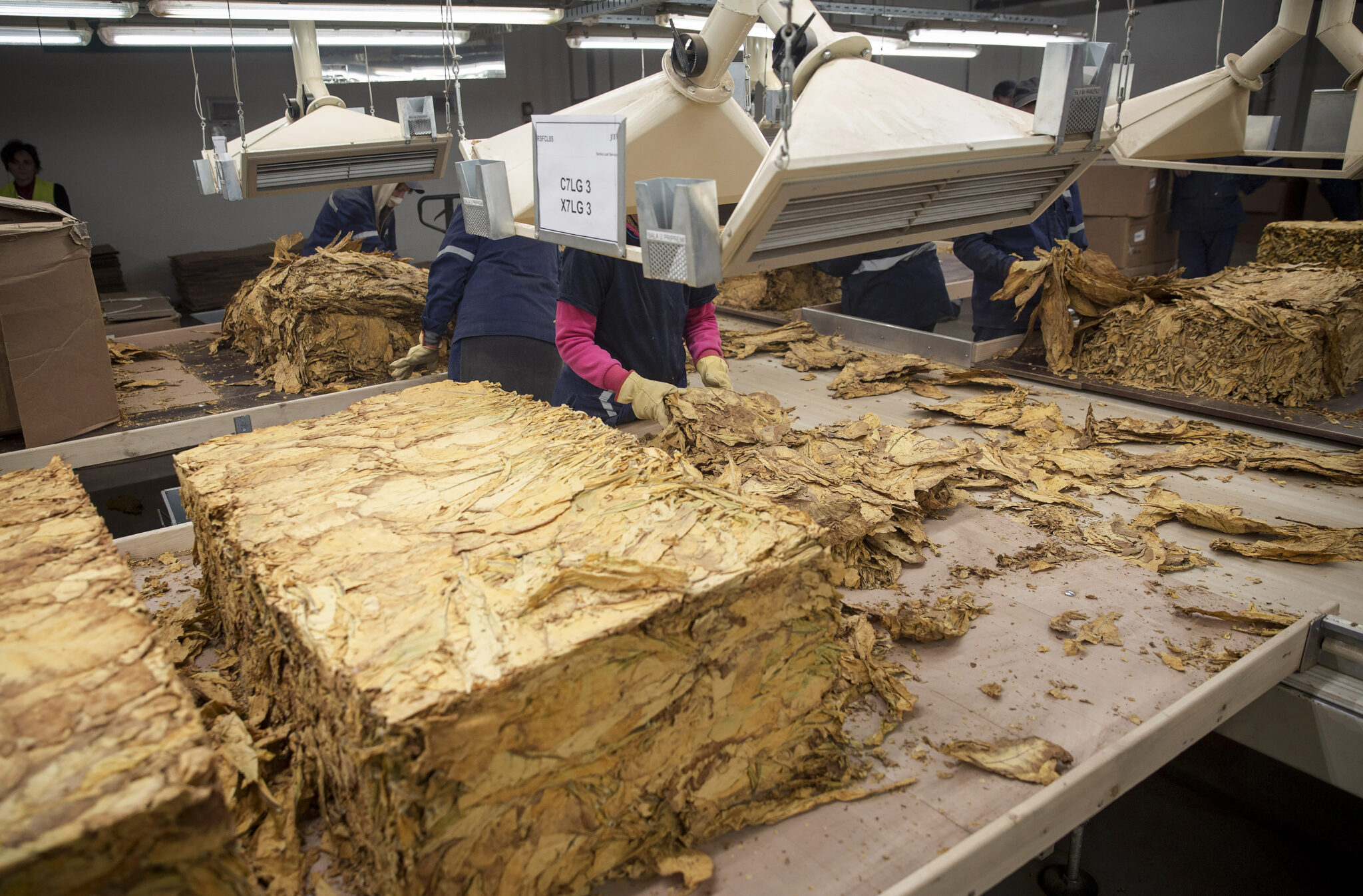 Japan tobacco is doubling down on cheap cigarettes - Moneyweb