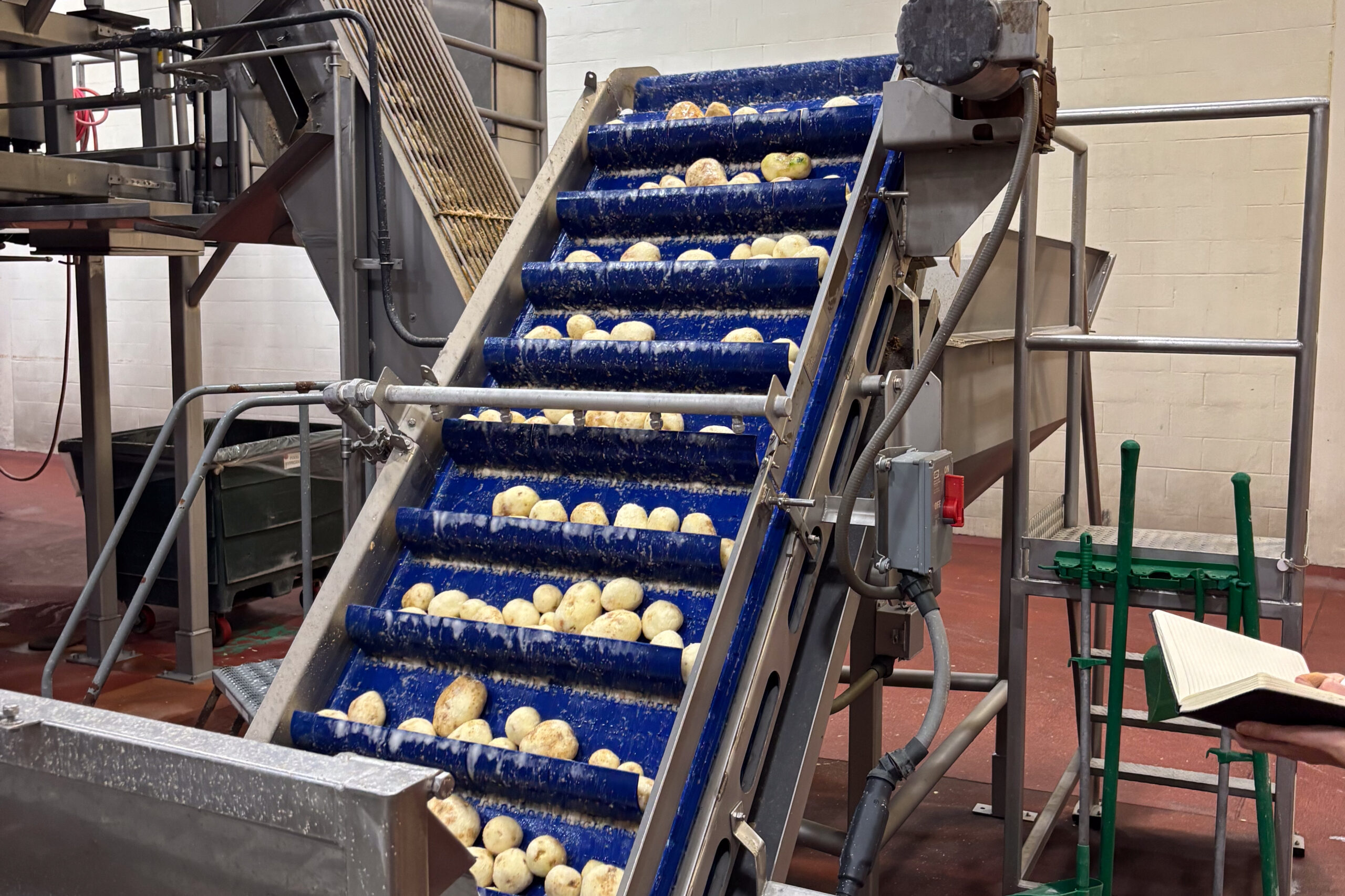 PepsiCo is on a high-stakes mission to revamp Lay’s barbecue chips ...
