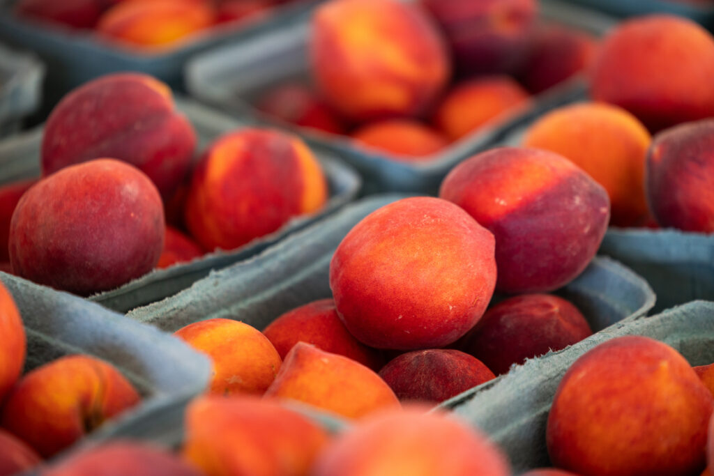 South Africa signs trade protocol to export stone fruit to China - Moneyweb