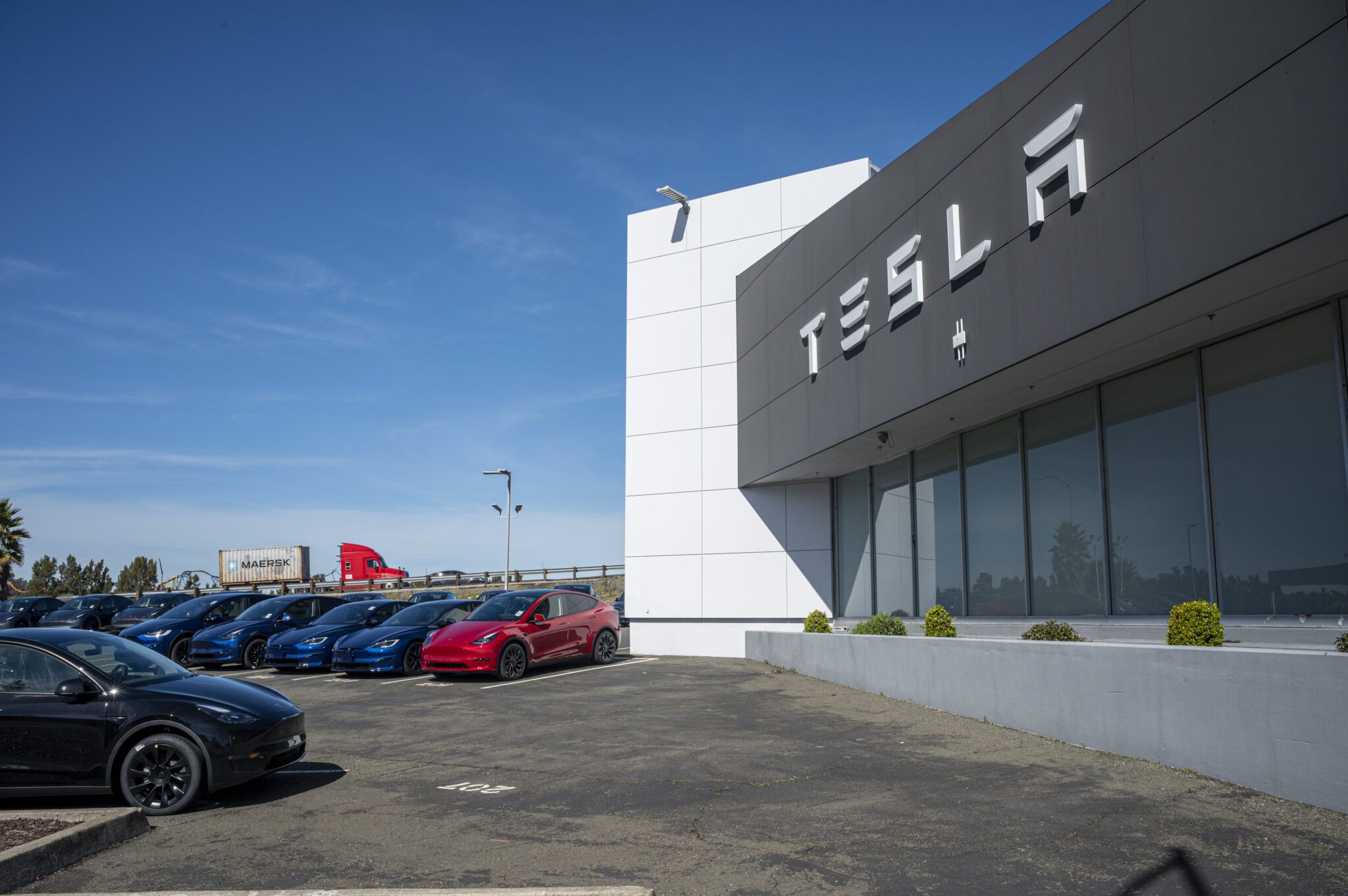 Tesla shareholders cast votes with Musk’s future on the line - Moneyweb