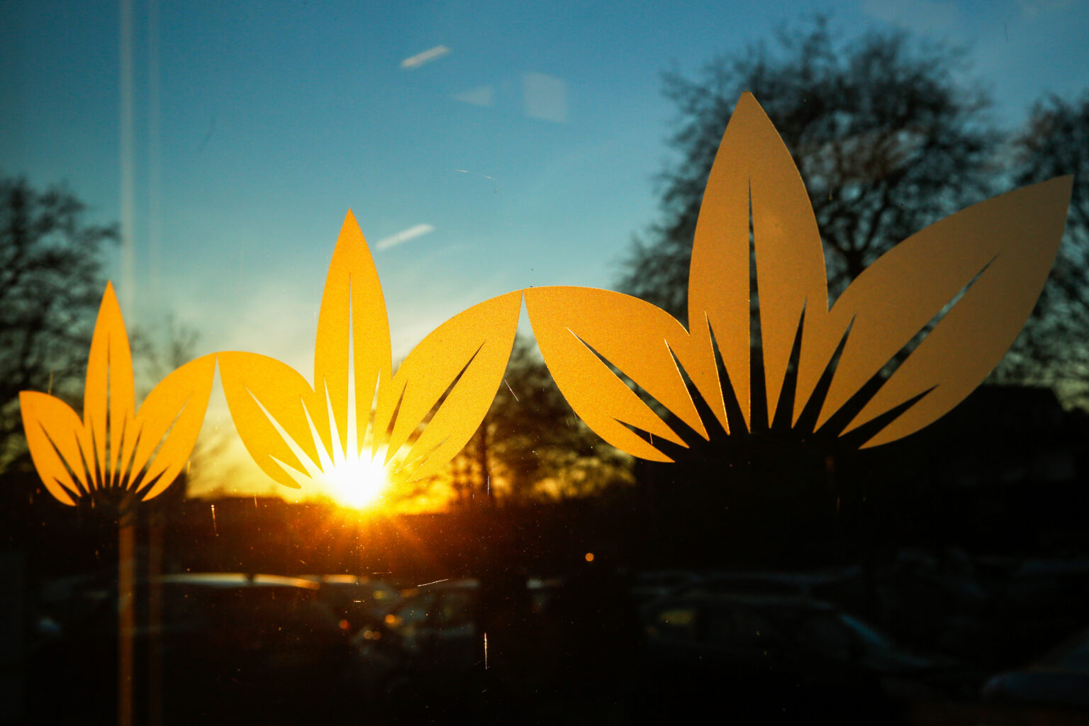 BAT: ‘We’ve reached the limit’ as SA factory closure confirmed - Moneyweb