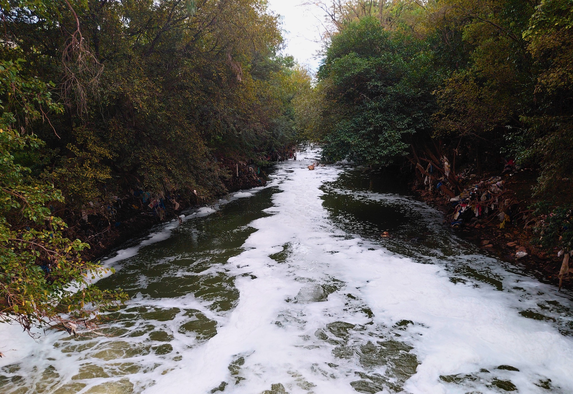 Sewage treatment collapsing in Tshwane - Moneyweb