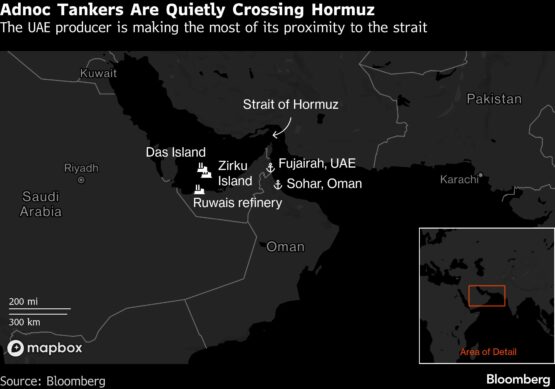 Adnoc’s tankers are slipping oil, gas and fuel through Hormuz - Moneyweb
