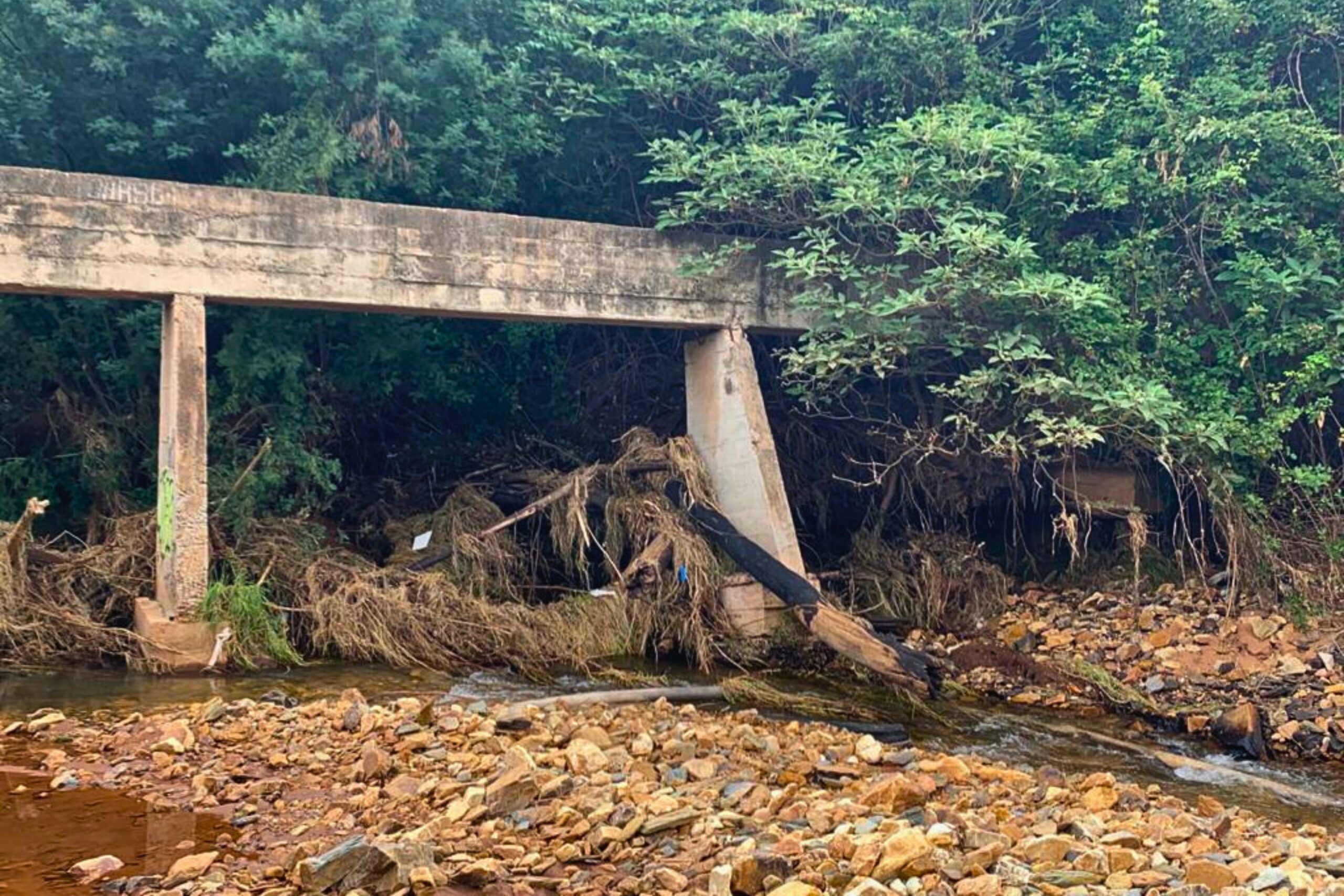 Meet the neighbourhood watch patrolling a river to stop pollution ...