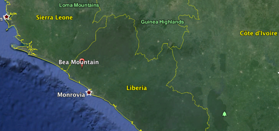 Liberia’s first commercial gold mine getting off its knees - Moneyweb